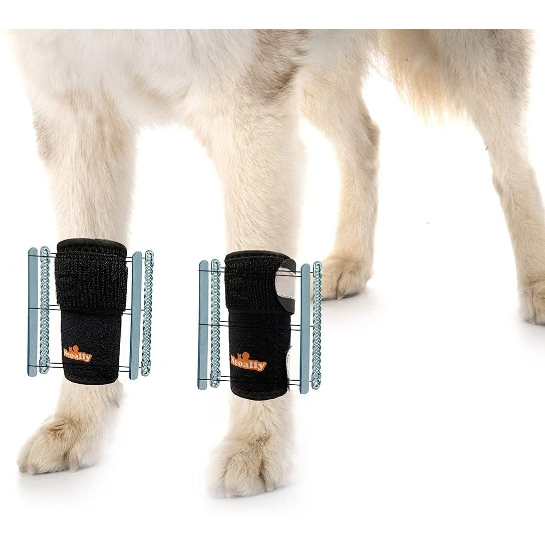 NeoAlly 3-in-1 Front Leg Dog Splint Brace: Rigid & Spring Inserts, Saf ...