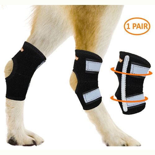 NeoAlly Rear Leg Hock Brace - Metal Spring Strips for Small Dogs [Shor ...