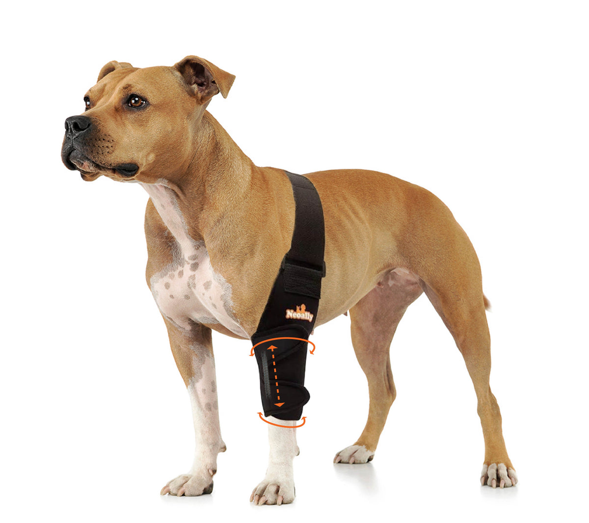 NeoAlly Elbow and Shoulder Brace with Spring Inserts for Dogs and Cats ...